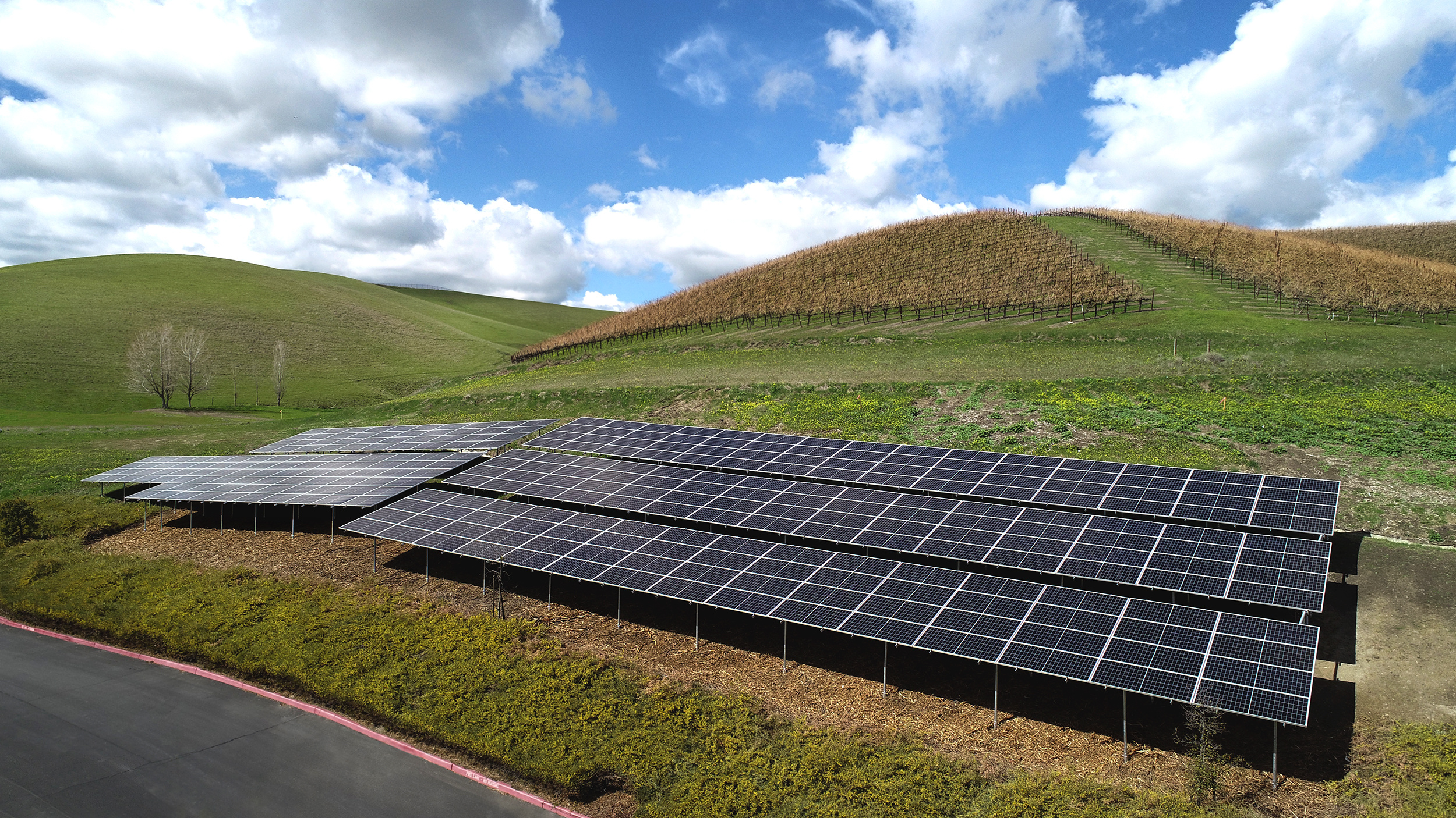 Contact Synergy Power